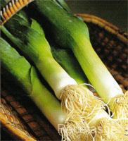 Puerro o ajo porro - Reportajes sobre [Nombre de la categoría ...